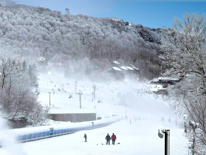 True Ski-in/ski-out On Carolina Caribbean Trail - Beech Mountain, NC