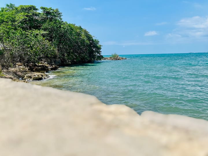 Palm Court Spacious 1-bedroom Apt - Negril