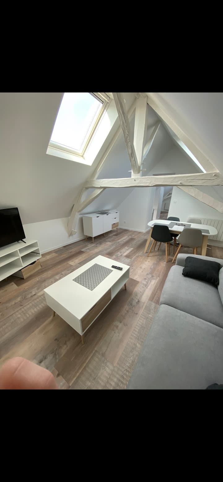 Appartement Chaleureux - Chinon
