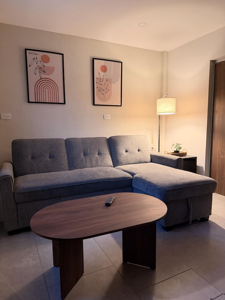 Cómodo Departamento Tipo Estudio Céntrico - Aguascalientes