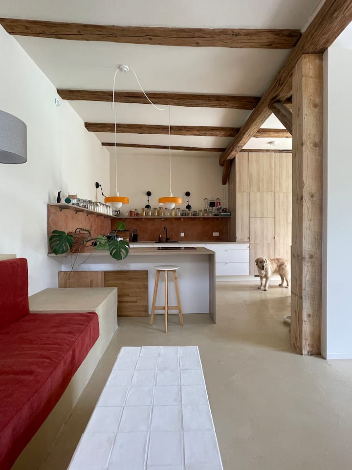 Maison Alsacienne Rénovée - 阿爾薩斯