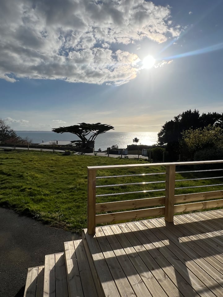 Maison Vue Mer Trébeurden - Trébeurden