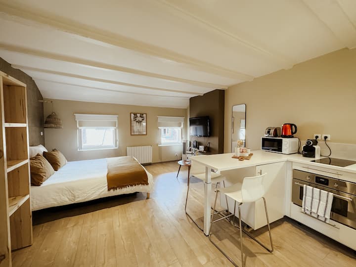 Studio Etoile Carnot Au Cœur De La Vieille Ville - Annecy