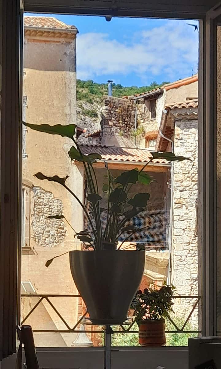 Vieillot Et Coloré. - Anduze