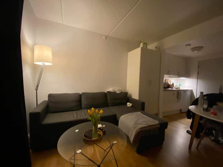 Studio Apartment In Nørrebro For July - Copenhagen