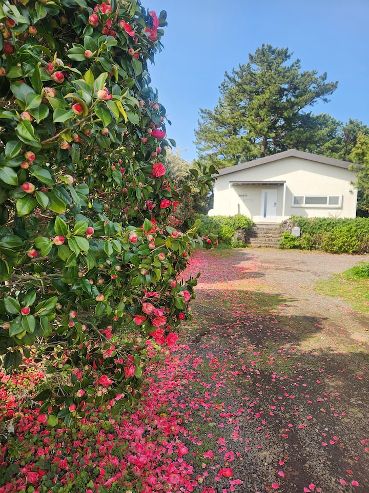 Hadori Gwihadoda Hado Beachfrontoceanviewprivate - Jeju