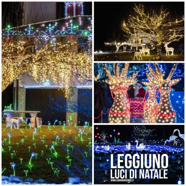 Miky’s Home - Lake Maggiore