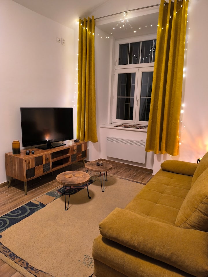 Cozy Apartment In The Old Town - Brno