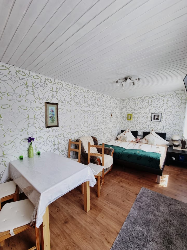 Gemütliche Wohnung Im Rheintal - Braubach