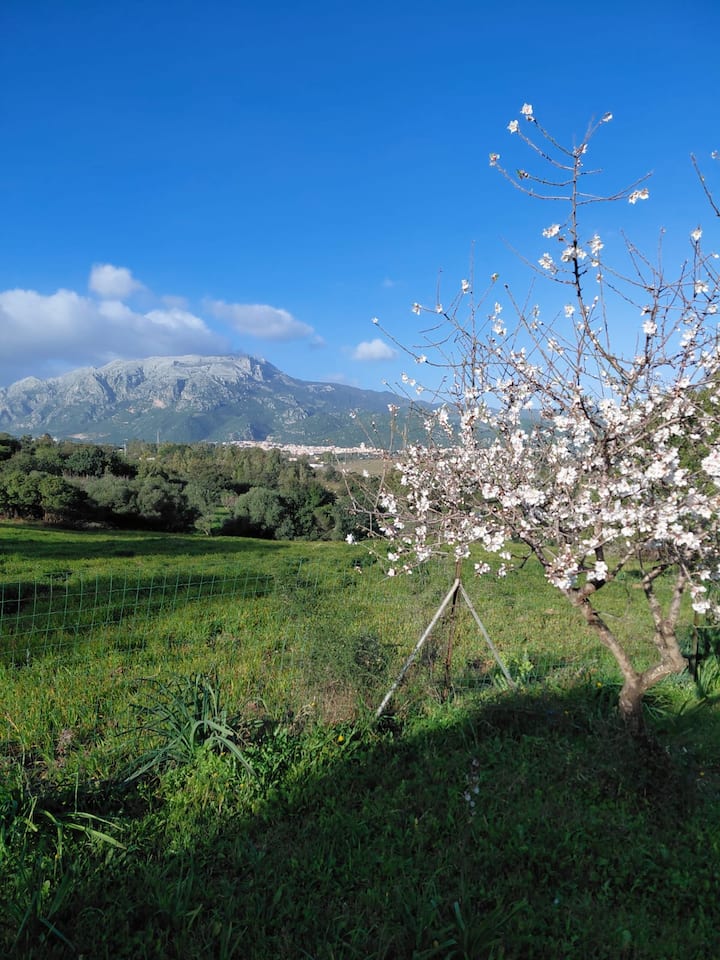 Appartamento Panorama - Siniscola