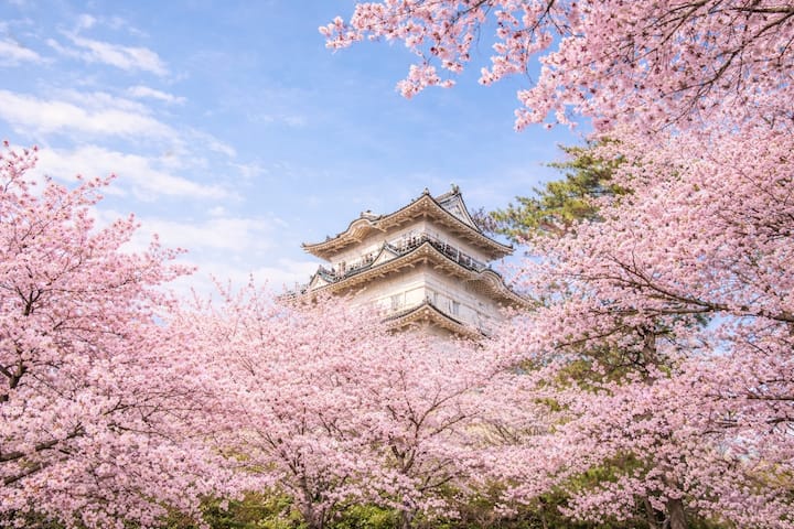 上位5%｜海と港のある 暮らしIjr 駅歩1分| 無料駐車場｜箱根・小田原・熱海・伊豆好アクセス - Odawara