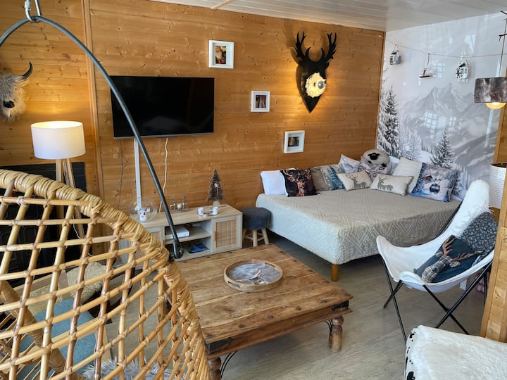 Grand Appartement De 75m2 - Valberg