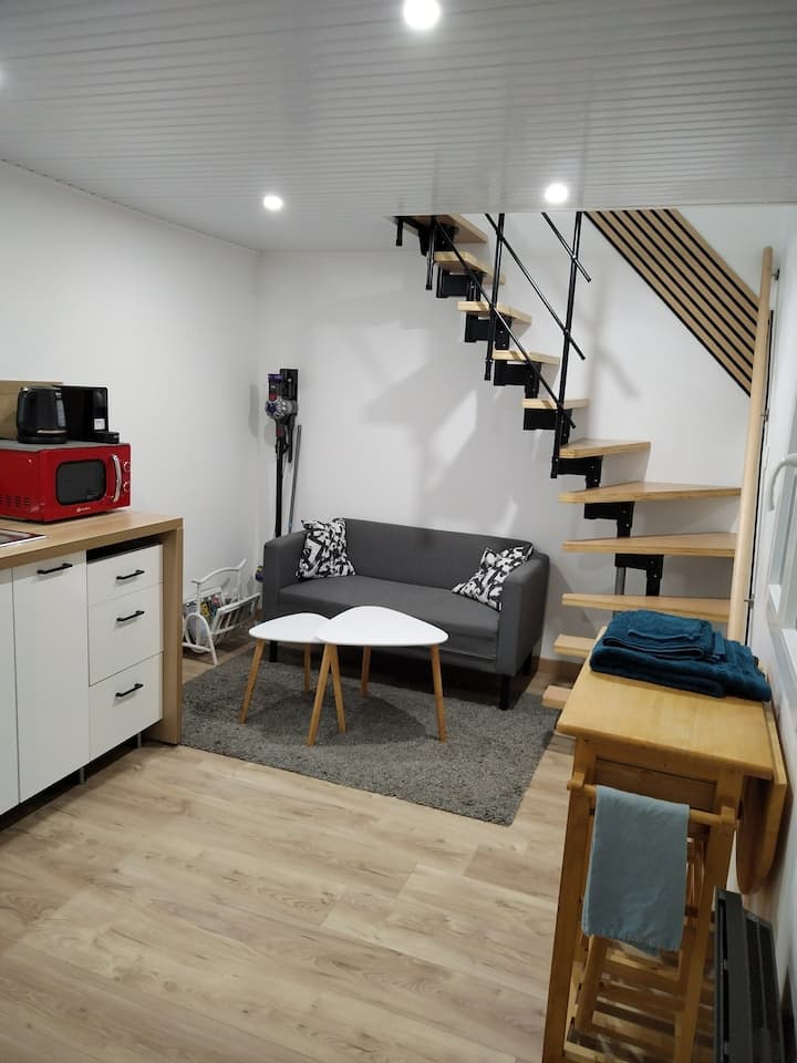 Super Studio Au Rdc, Rénové à Neuf Avec Mezzanine - Pessac