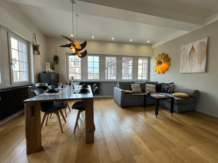 L'arsenal - Appartement Centre Ville - 6 P - Sélestat