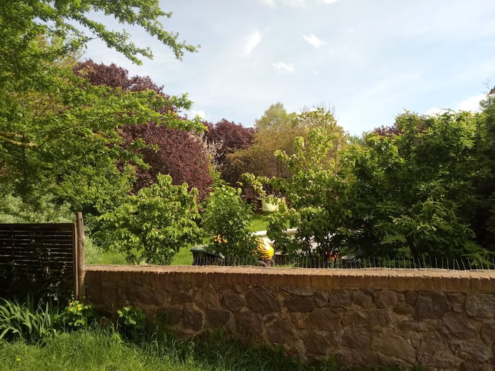 Helle & Freundliche Fewo - Arendsee (Altmark)