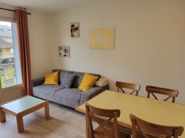 T3 Spacieux Et Lumineux, Proche Thermes Et Parking - Thonon-les-Bains