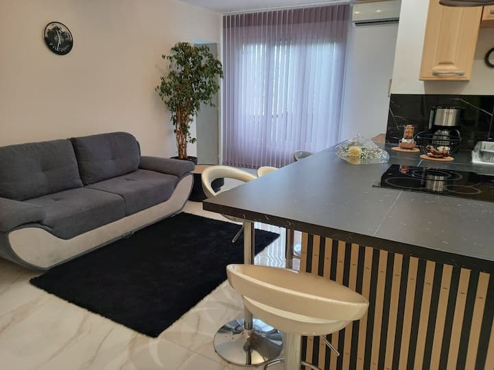 F2 Entièrement Rénové - Bastia