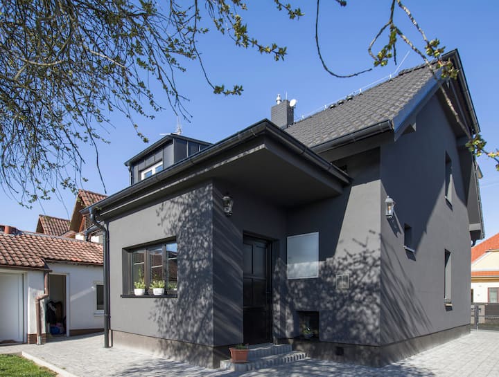 The Dark Loft: Soukromí, Fitness & Playroom - Hradec Králové