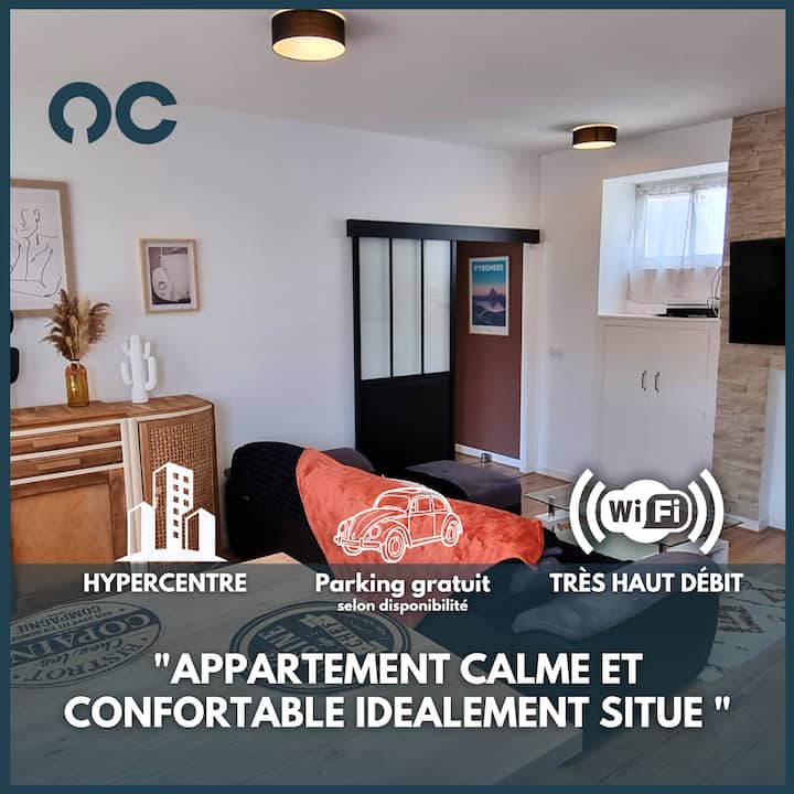 Le 42, Très Bel Appartement - Hyper Centre - Calme - Pau