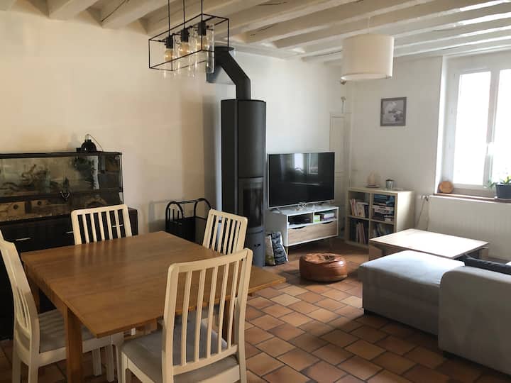 Maison Familiale En Sologne - Lamotte-Beuvron