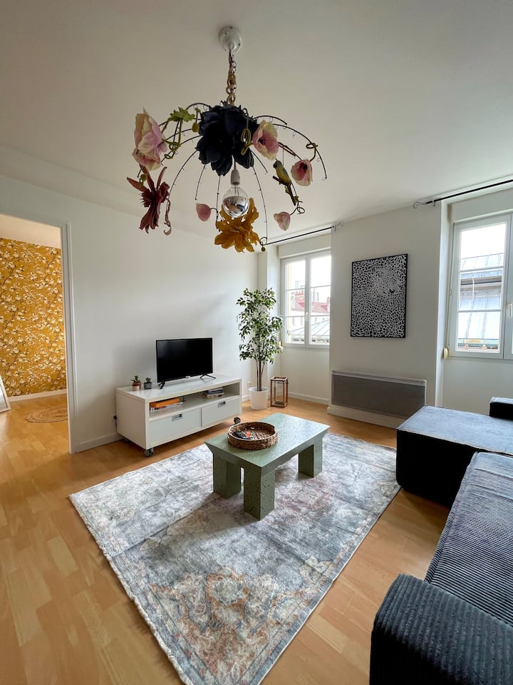 Appartement Hyper-centre Dijon - Dijon