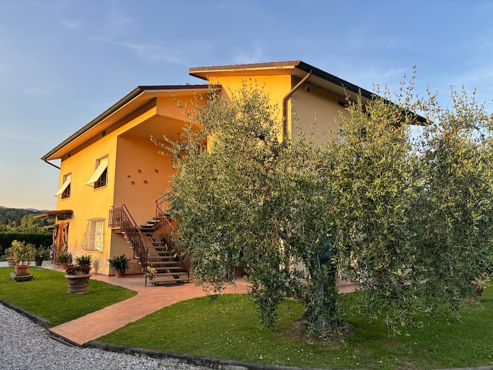 Casa Corte Degli Olivi 2 - Lucca