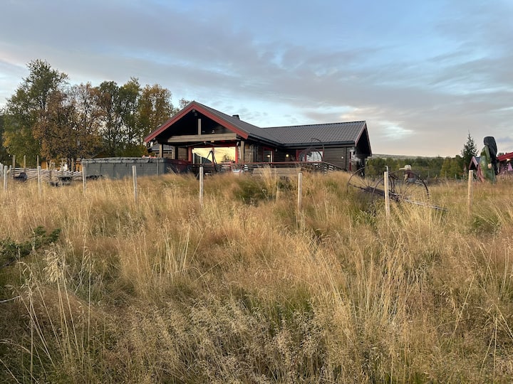 Fritidsbolig I Vakre Rondane/dovre M Pool Og Sauna - Sel
