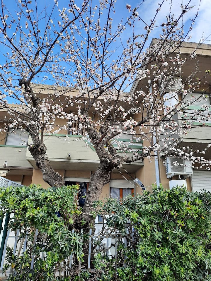 Cozy Flat For Your Holidays! - Follonica