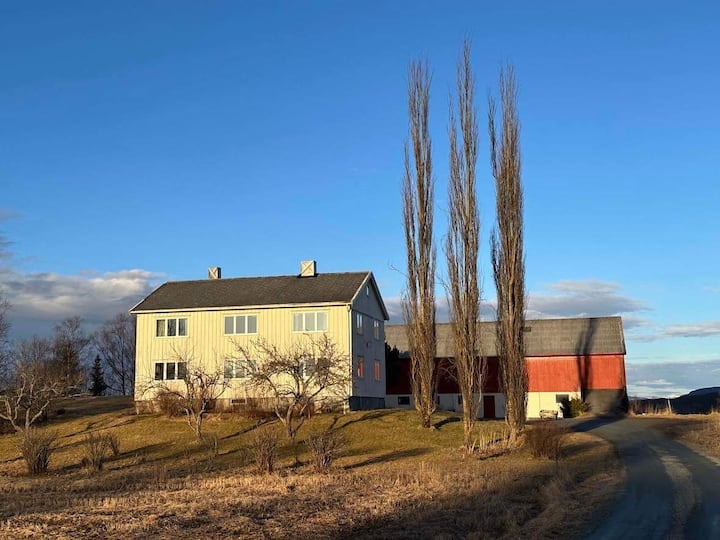 Romslig Hus, Rolige Omgivelser - Levanger