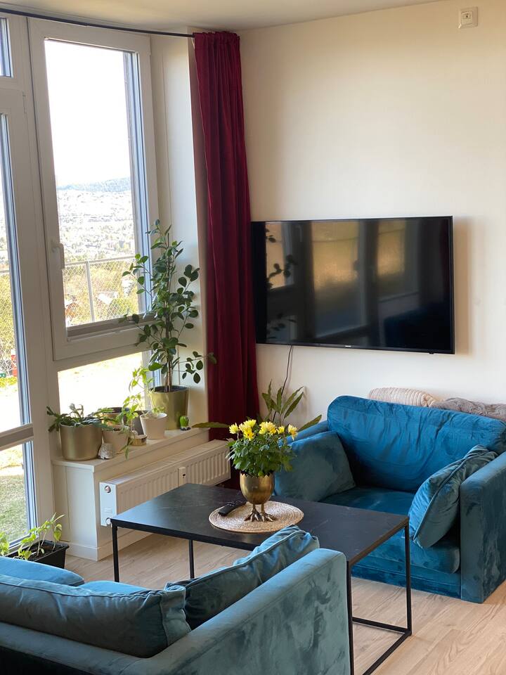 Apartment With A Beautiful View - Trondheim