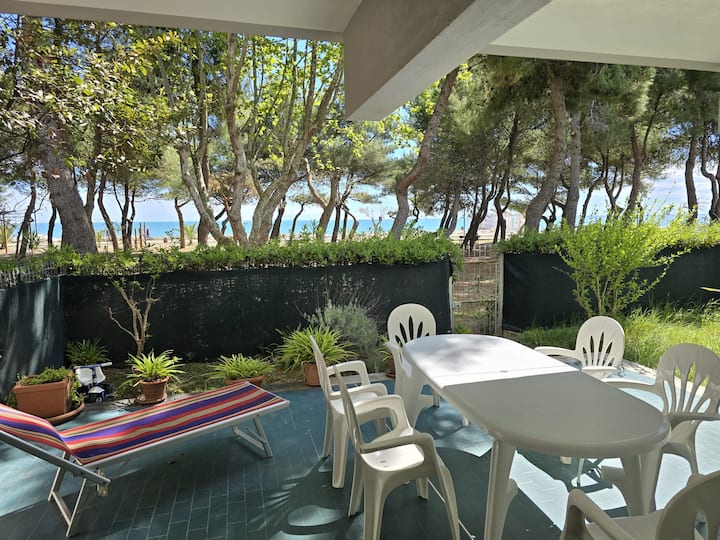 Comfortable Apartment Face A La Mer Adriatique - Alba Adriatica