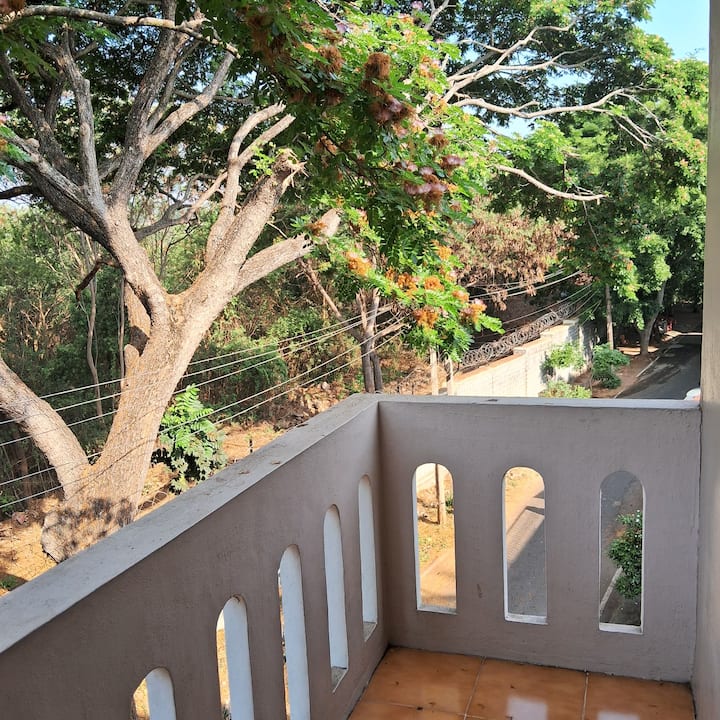 Nature's Bliss- Home In Gokulam At Heart Of Mysore - Mysuru