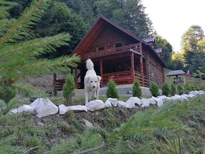 Cabana Din Deal Salard - Lunca Bradului