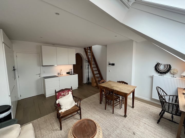 Duplex In Heritage Building - Etterbeek