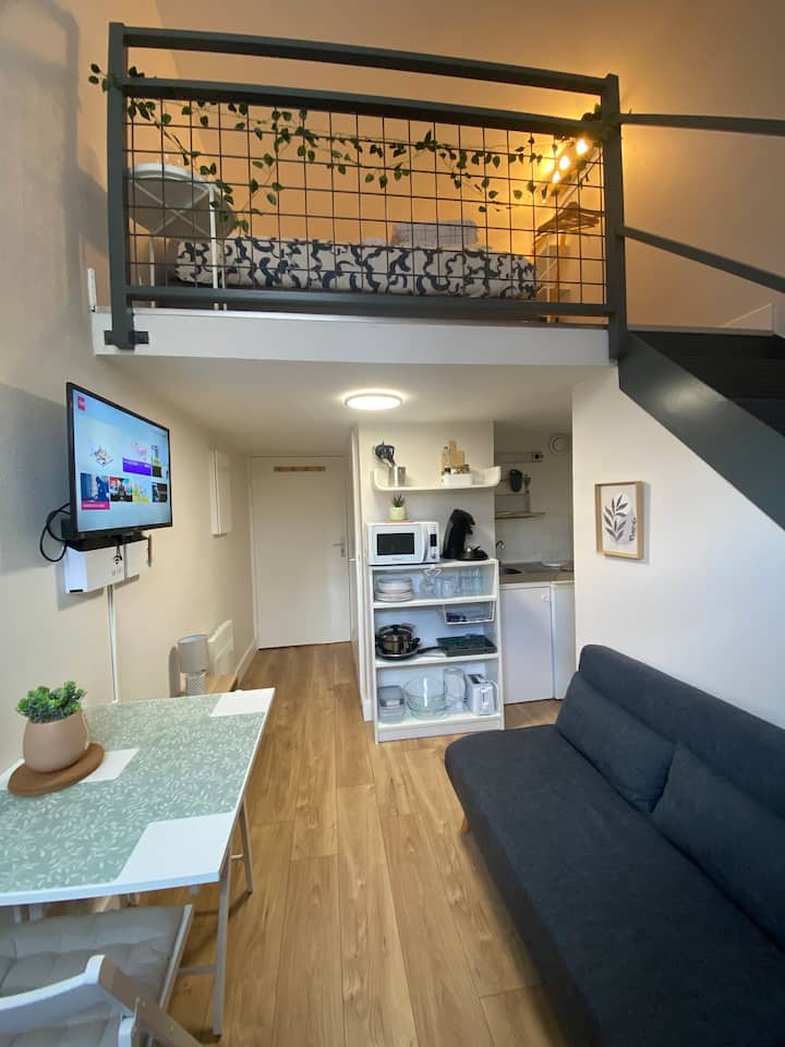 Lespinet Bnb - Duplex | Parking & Wifi - Castanet-Tolosan