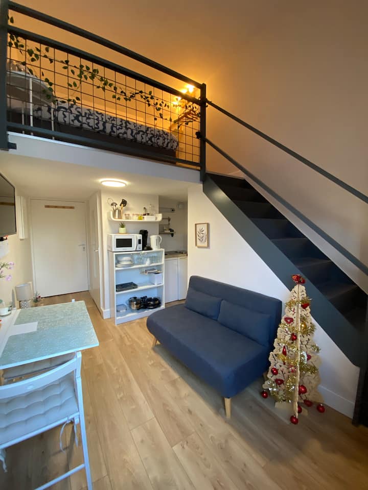 Lespinet Bnb - Duplex | Parking & Wifi - Saint-Orens-de-Gameville