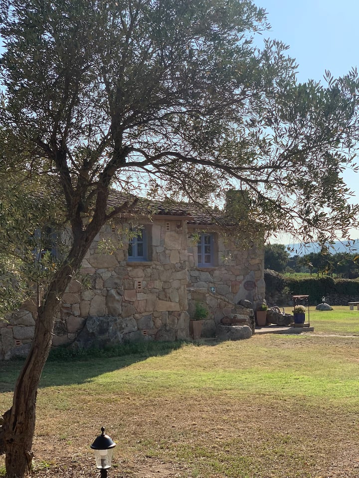 Bergerie Au Calme à Figari - Figari