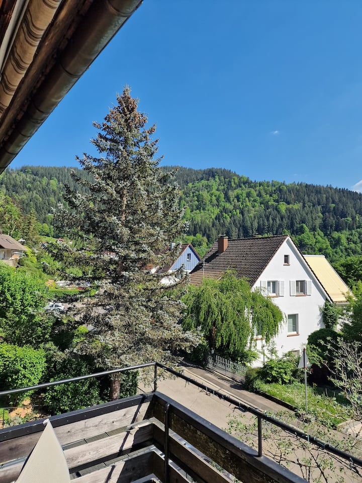 Ferienwohnung Rebberg 1 - Schiltach