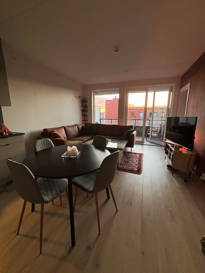 Moderne 2-roms Sentralt På Ensjø - Oslo