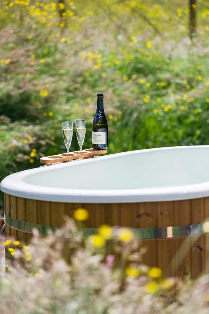 Ramson Shepherd Hut ~ Secluded ~ Luxury ~ Hot Tub - Dartmoor Forest