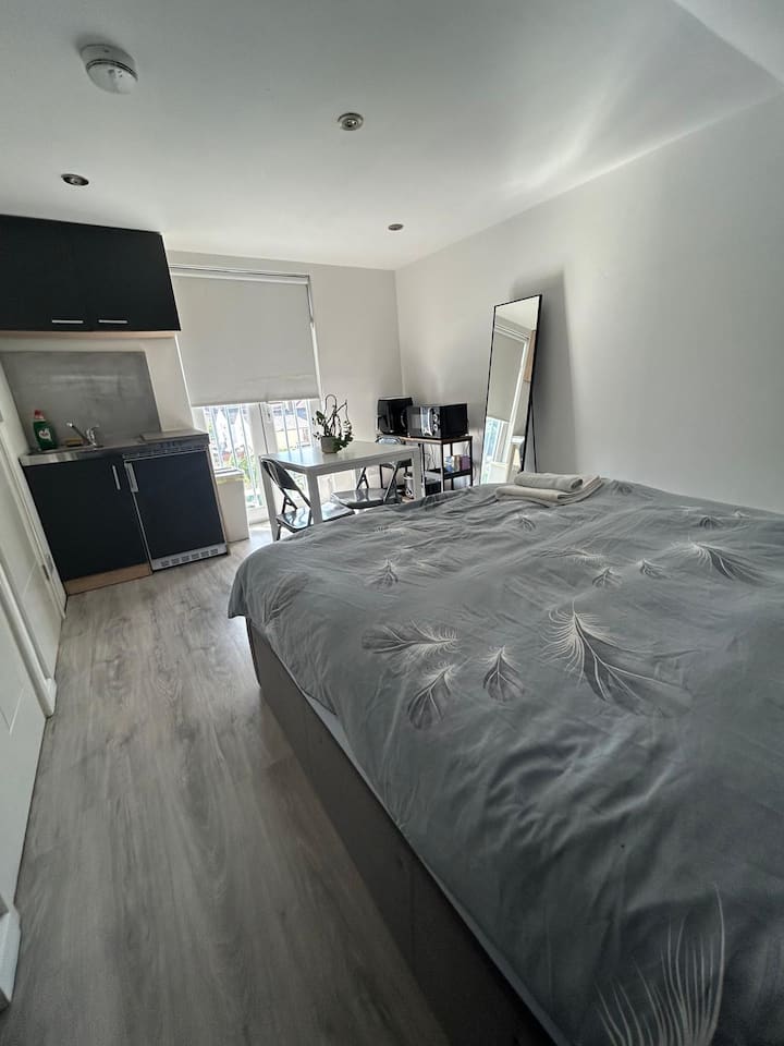 Loft Room With Juliet Balcony - Barking