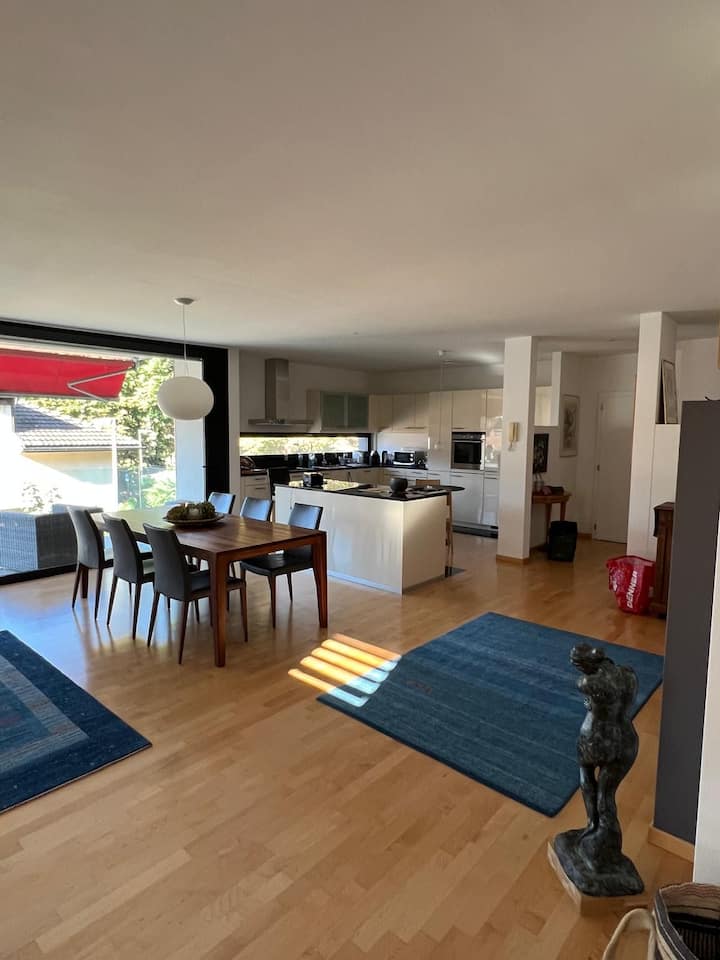 Appartement, Vue Sur Le Château - Bellinzona