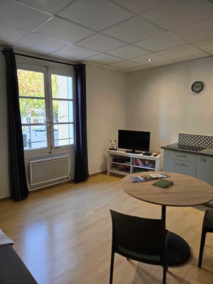 Appartement Coeur De Ville - Roussillon