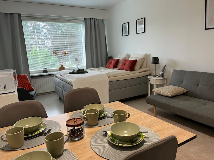 Nordic Rest Point: Near The Train, Parking, Wifi - Rovaniemi