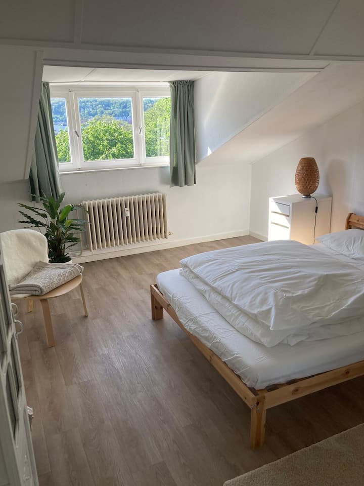 Appartement Privatif Dans Une Maison Unifamiliale - Liège, Belçika