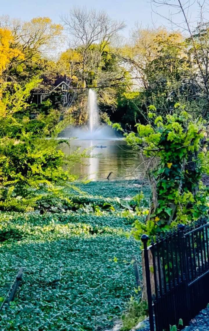 Cozy 2 Bedroom Lakeview Oasis - Norfolk, VA