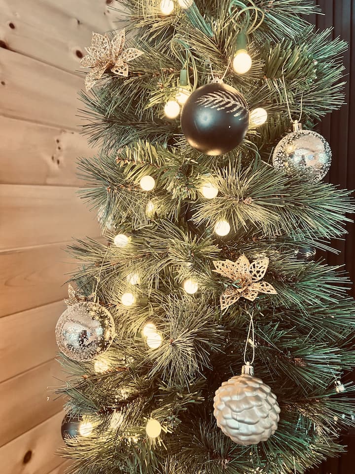 Cozy Bord De L’eau Privé, Foyers, Spa Pour 5! - Shawinigan