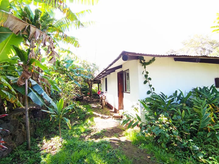 Otea Ex Habitación B - Easter Island