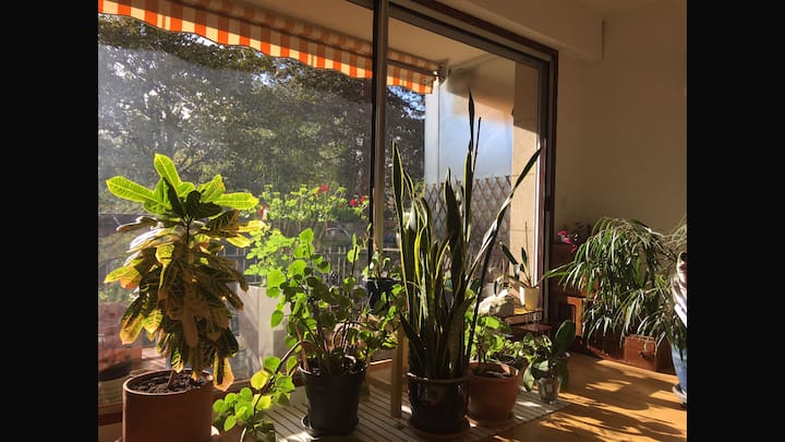 Appartement Charmant &Lumineux Au Cœur D’un Jardin - Sceaux