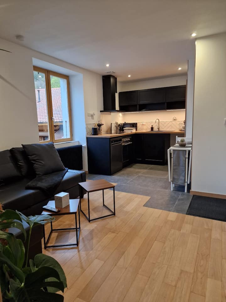 Joli T2 Rénové - Lugrin